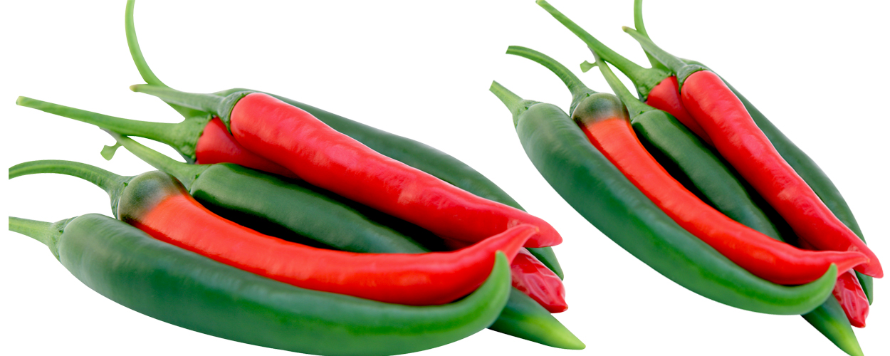 Waamo Group – Feeding the world with healthy and quality food