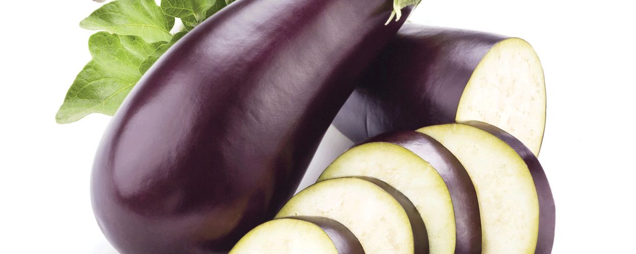 Waamo Group – Feeding the world with healthy and quality food