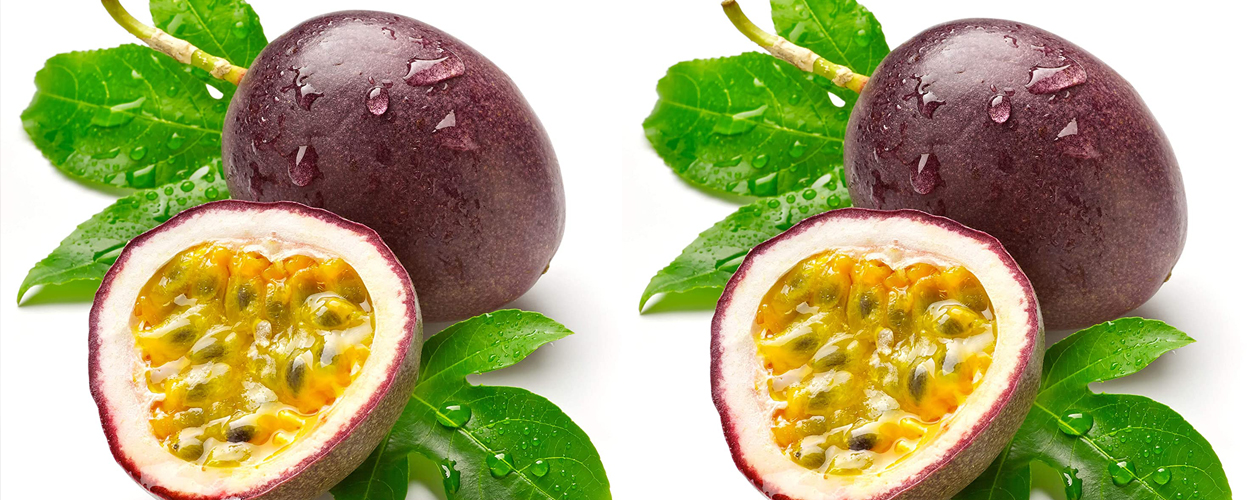 Waamo Group – Feeding the world with healthy and quality food